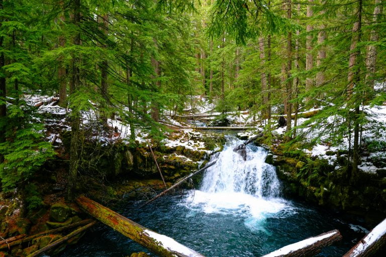 Ultimate guide to Oregon's Highway of Waterfalls - Gwyn and Ami