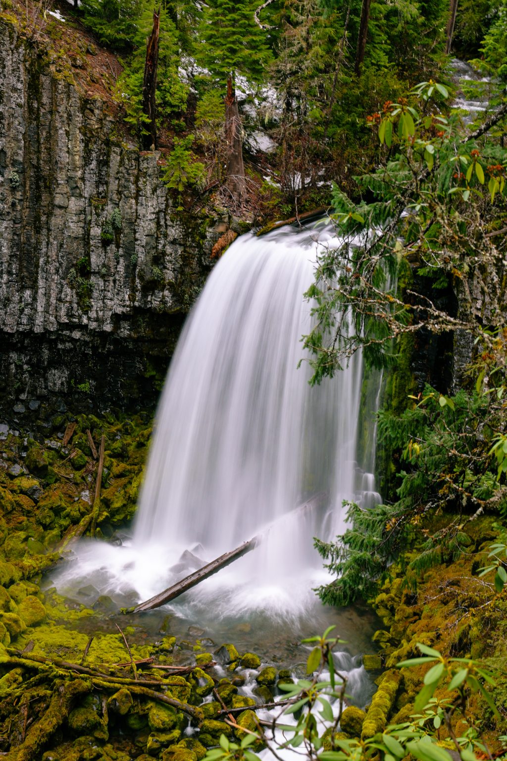 Ultimate guide to Oregon's Highway of Waterfalls - Gwyn and Ami
