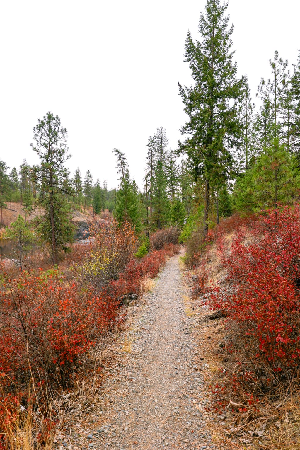 How to spend 24 hours in Spokane, Washington - Gwyn and Ami