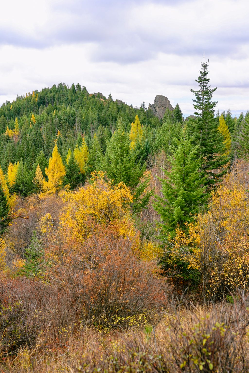 7 great places to see fall colors in Spokane - Gwyn and Ami