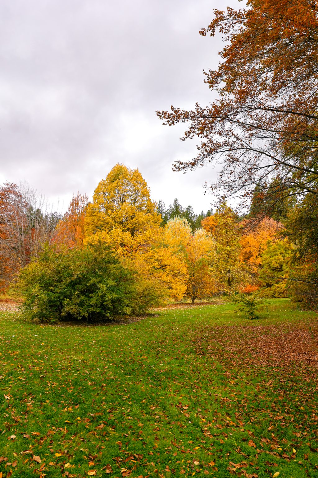 7 great places to see fall colors in Spokane - Gwyn and Ami