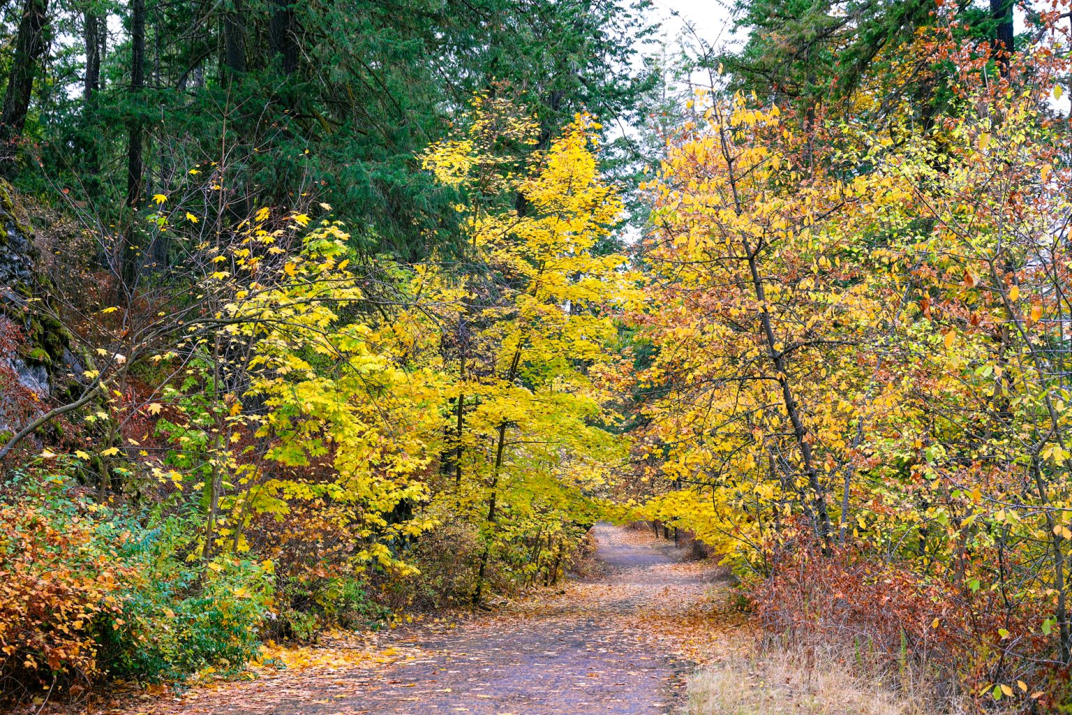 7 great places to see fall colors in Spokane - Gwyn and Ami