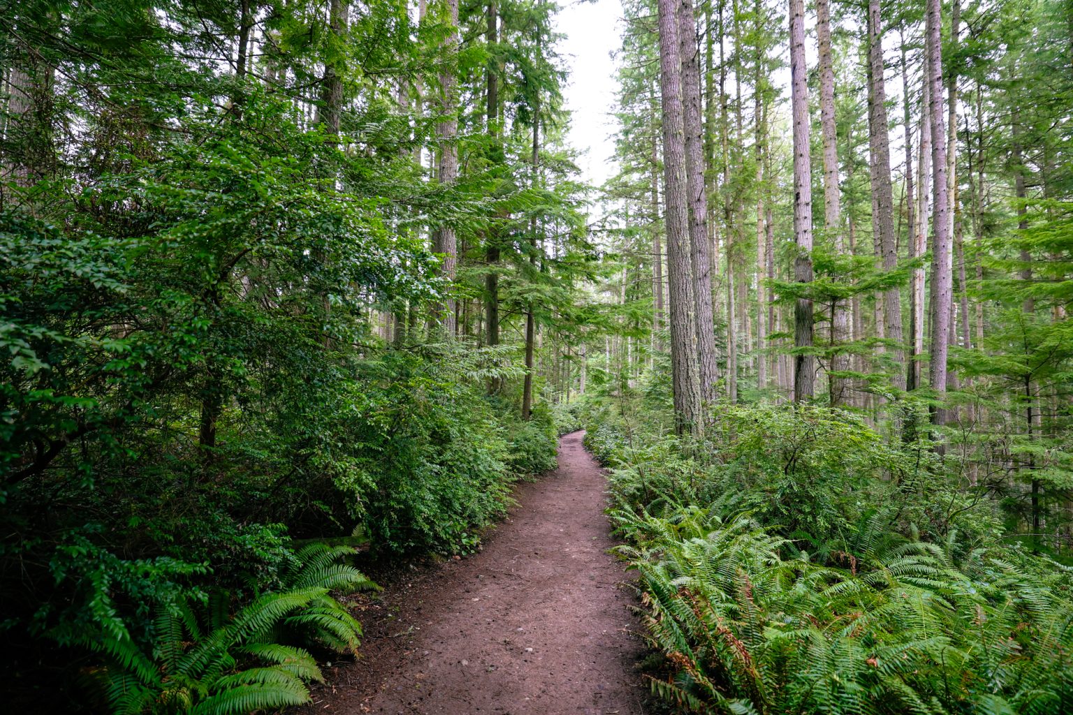 The perfect Whidbey Island weekend itinerary - Gwyn and Ami