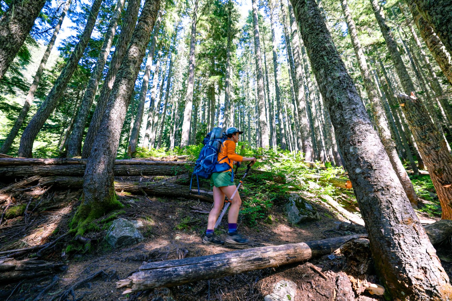 Guide to backpacking Hidden Lake Lookout in North Cascades - Gwyn and Ami
