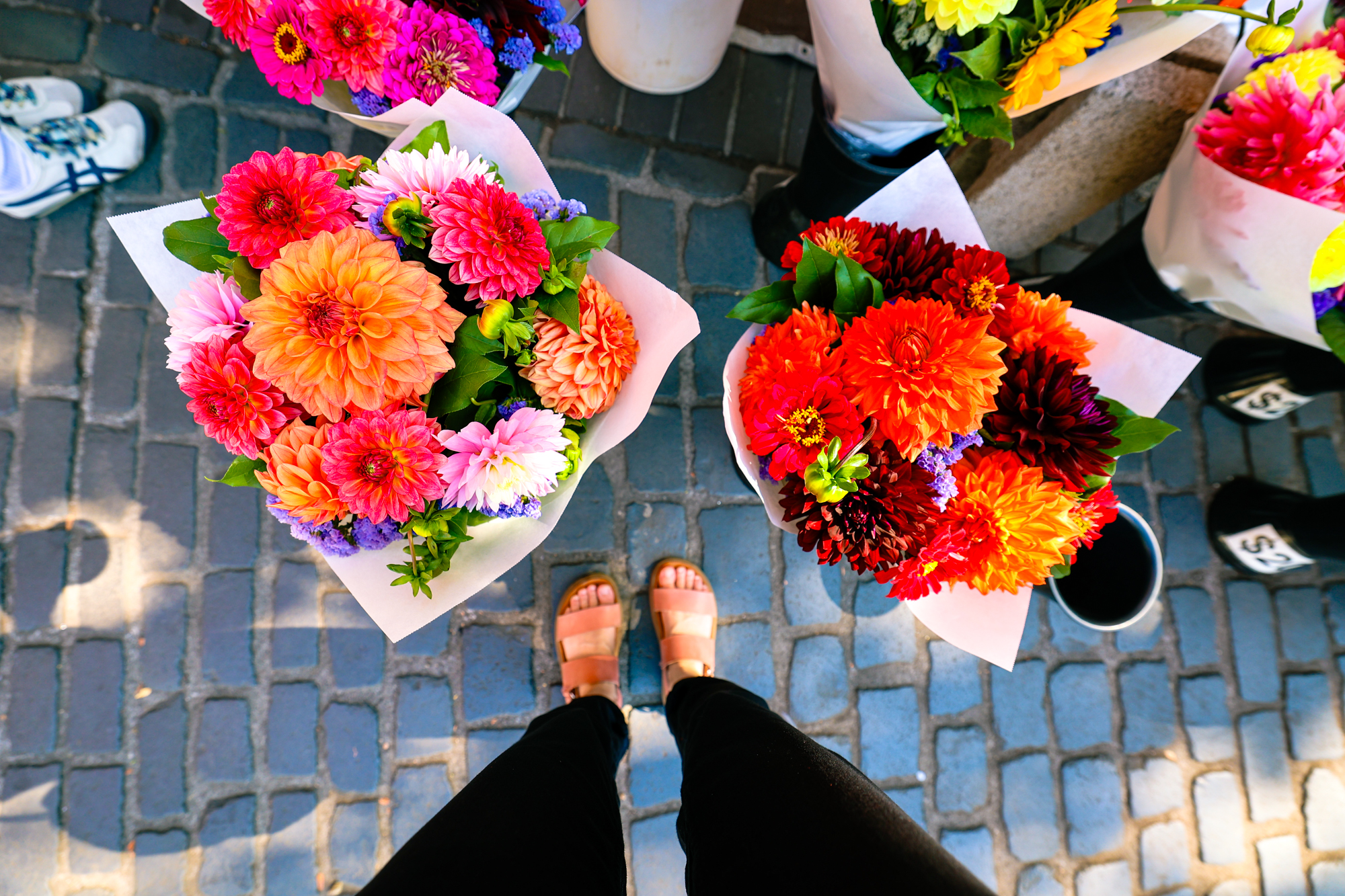 The ultimate FREE self-guided walking tour of Portland, Oregon - Gwyn ...