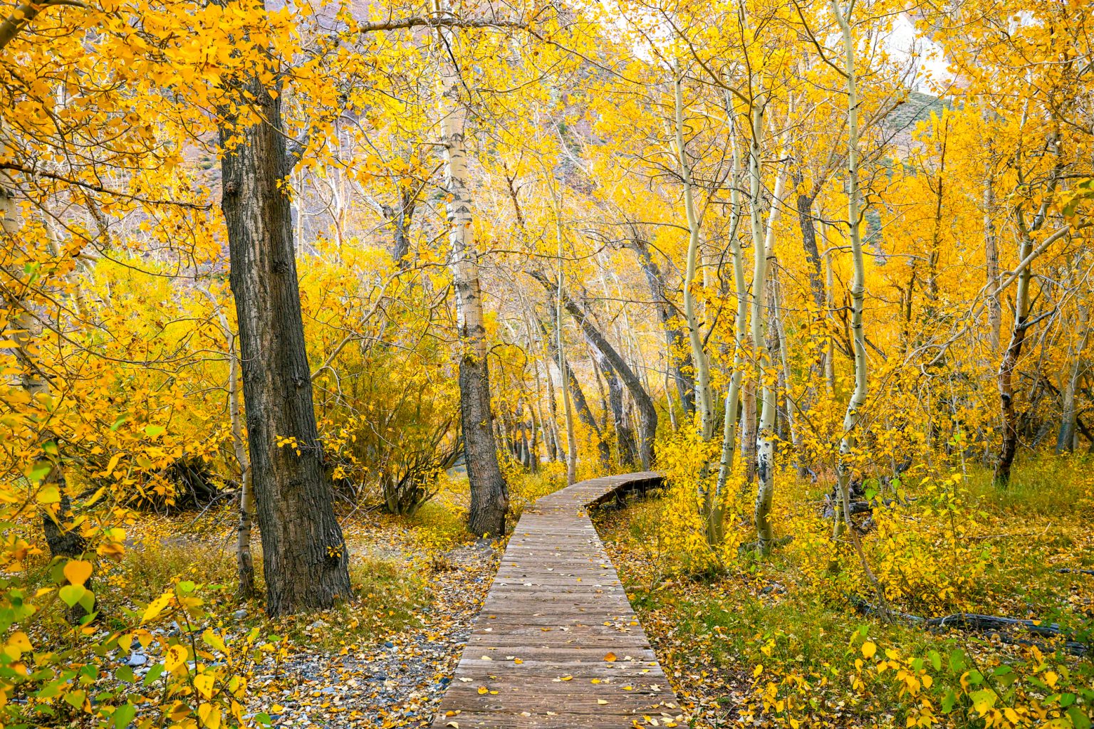 ULTIMATE Highway 395 Road Trip: Best Stops on California’s Most Scenic ...